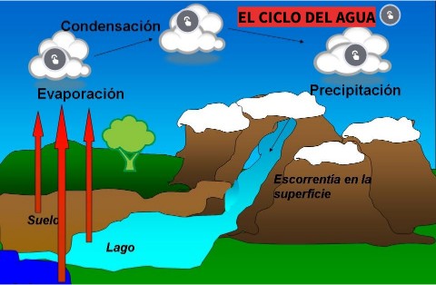 EL CICLO DEL AGUA