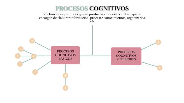 Mapa conceptual de los procesos cognitivos