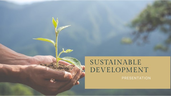 SUSTAINABLE DEVELOPMENT
