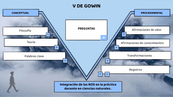 V DE GOWIN
