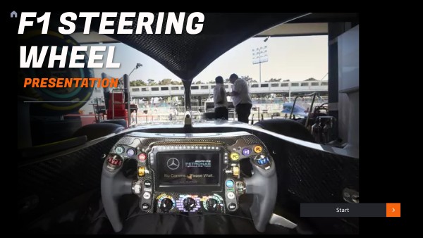F1 steering wheel