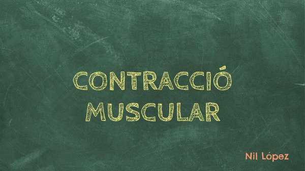 Animated Chalkboard Presentation