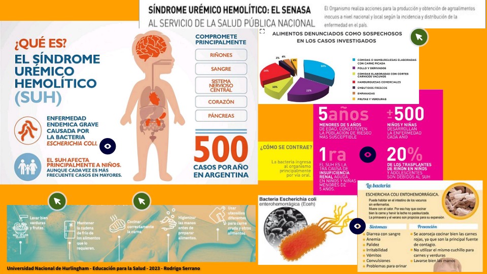 Infografía SUH