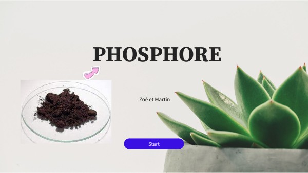 Symbole D'alchimie Du Phosphore
