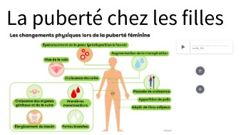 puberté chez la femme