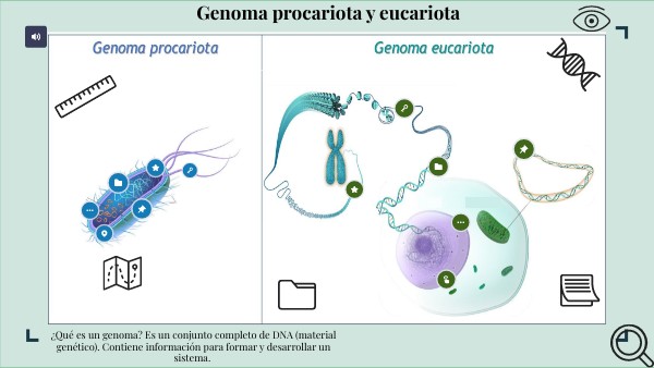 Genoma procariota y eucariota