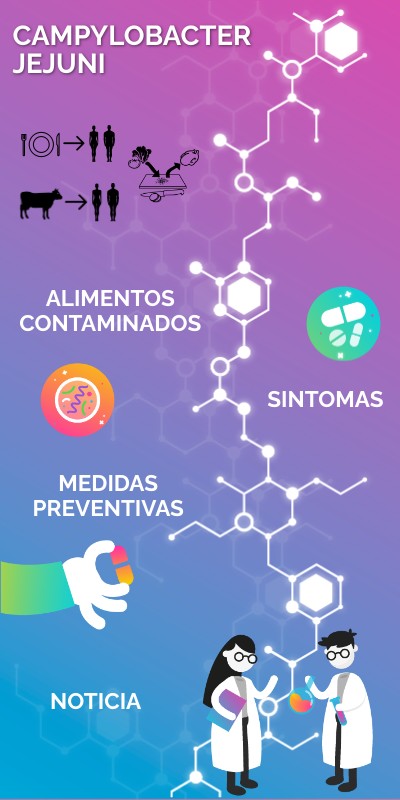 BACTERIA CAMPYLOBACTER JEJUNI