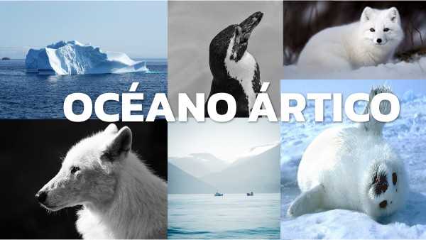 Presentación Océano Ártico