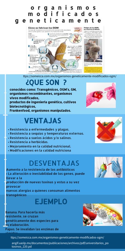 OMG Organismos Modificados Genéticamente