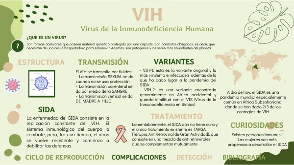 Estructura De La Enfermedad Del Vih