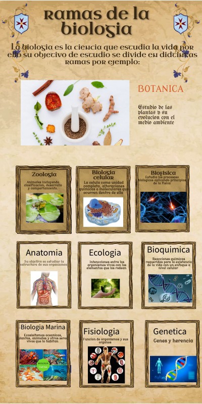 ramas de la biologia