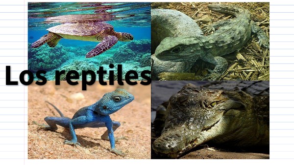 los reptiles