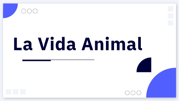 vida animal