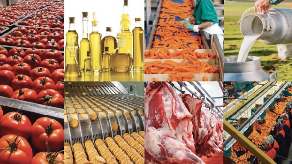 L'industrie agro-alimentaire.