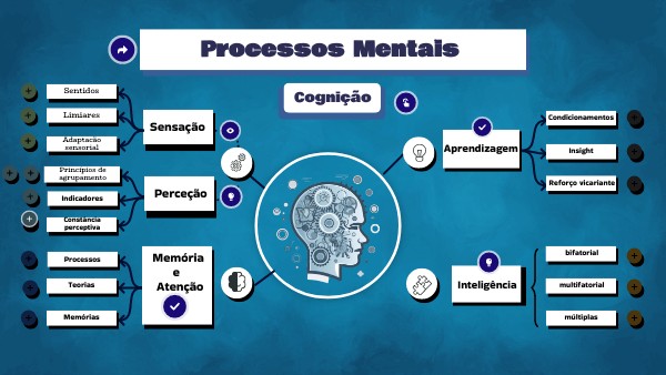 Mapa Mental Processos Mentais