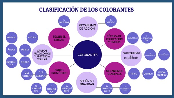 Clasificación de los colorantes - Paula Montaño Cintado 2º APC