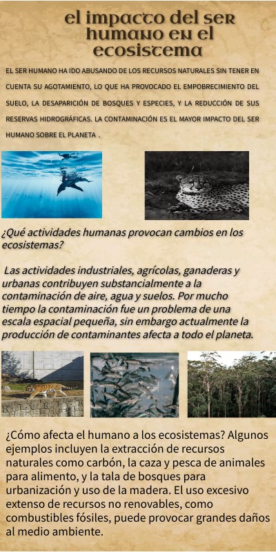 impacto del humano en el ecosistema