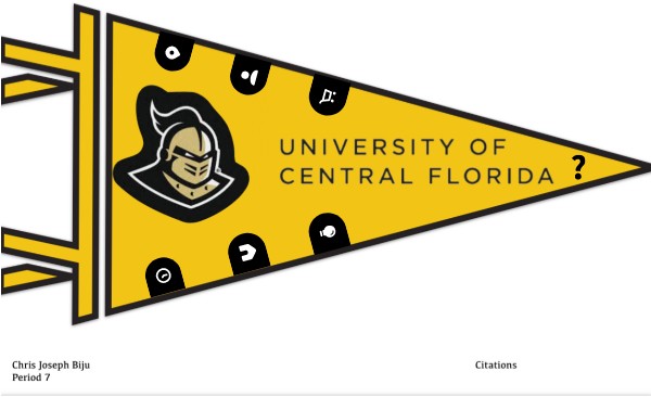 University of Central Florida pennant