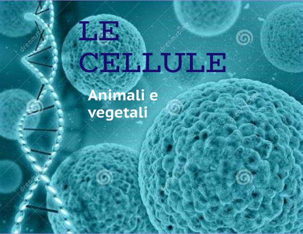 Le cellule