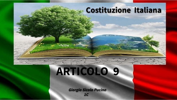 ARTICOLO 9