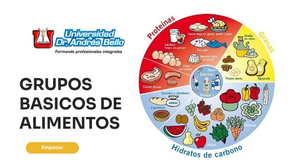 grupos de alimentos