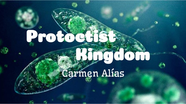 Protoctist Kingdom