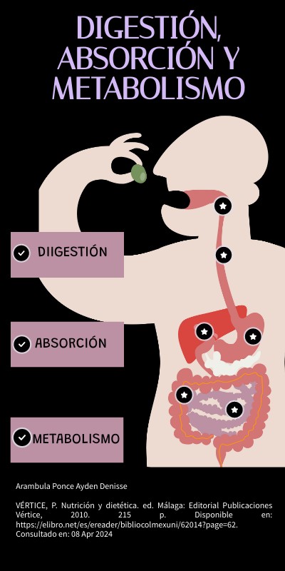 Digestión, absorción y metabolismo_ Arambula Ponce