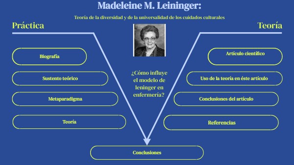 V DE El modelo de Leininger