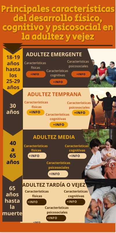 Desarrollo en la adultez y vejez